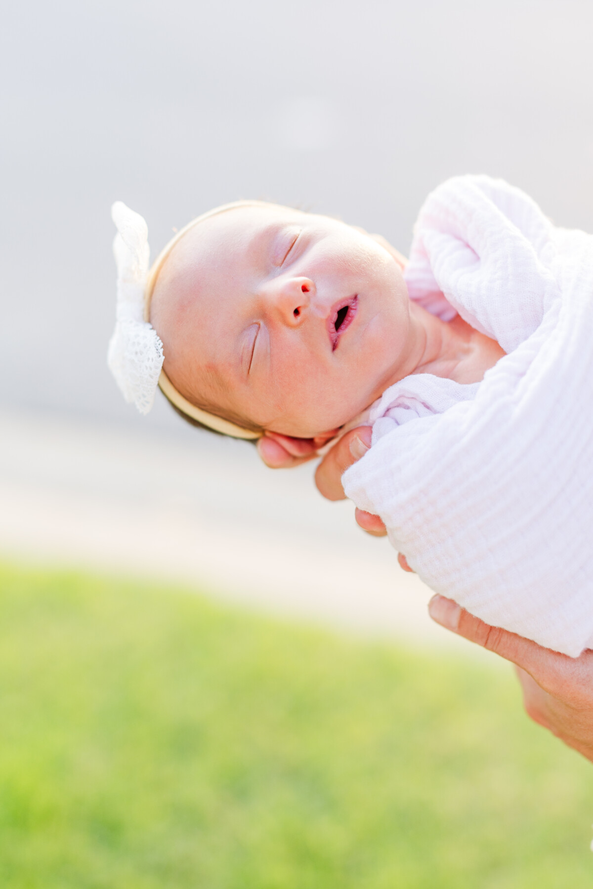 Adorable Newborn Session in Franklin with a Special Cameo - Nashville ...